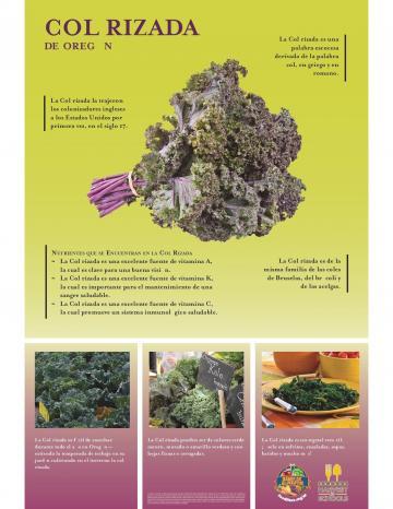 Col Rizada | Food Hero