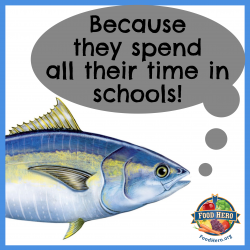 Tuna Joke | Food Hero