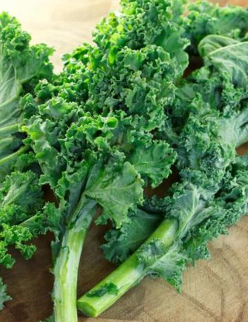 Col Rizada | Food Hero