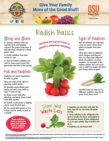 Radishes | Food Hero