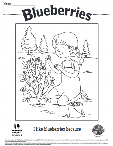 Blueberries | Food Hero