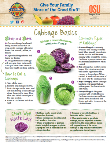Cabbage | Food Hero