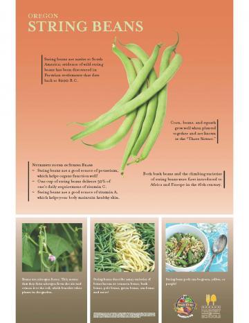 Green Beans | Food Hero